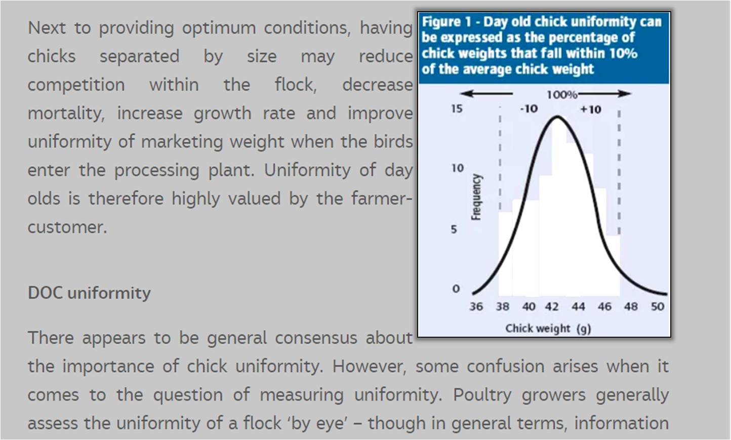 Broiler Farming: The Definitive Guide (2020)