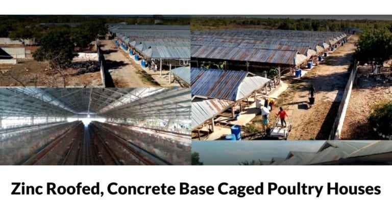 7 Poultry House Designs From Farms in the Philippines (2021)