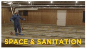 Broiler Brooding Best Management Practices