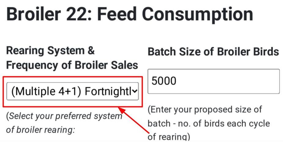 How To Calculate Broiler Feed Consumption 3 Easy Methods 