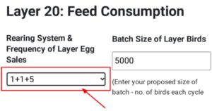How To Calculate Layer Feed Consumption (3 Easy Ways)