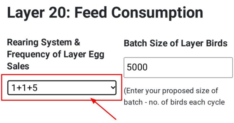 How To Calculate Layer Feed Consumption (3 Easy Ways)